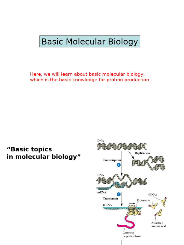 Basic molecular biology | PDF
