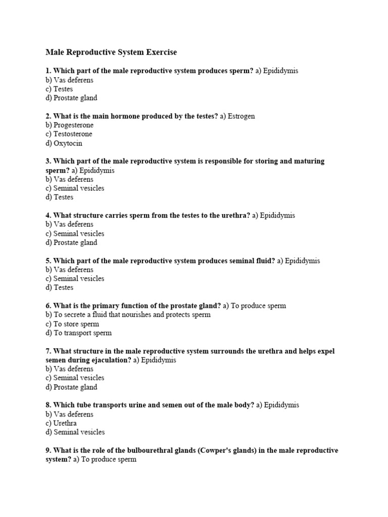 Male Reproductive System Exercise | PDF