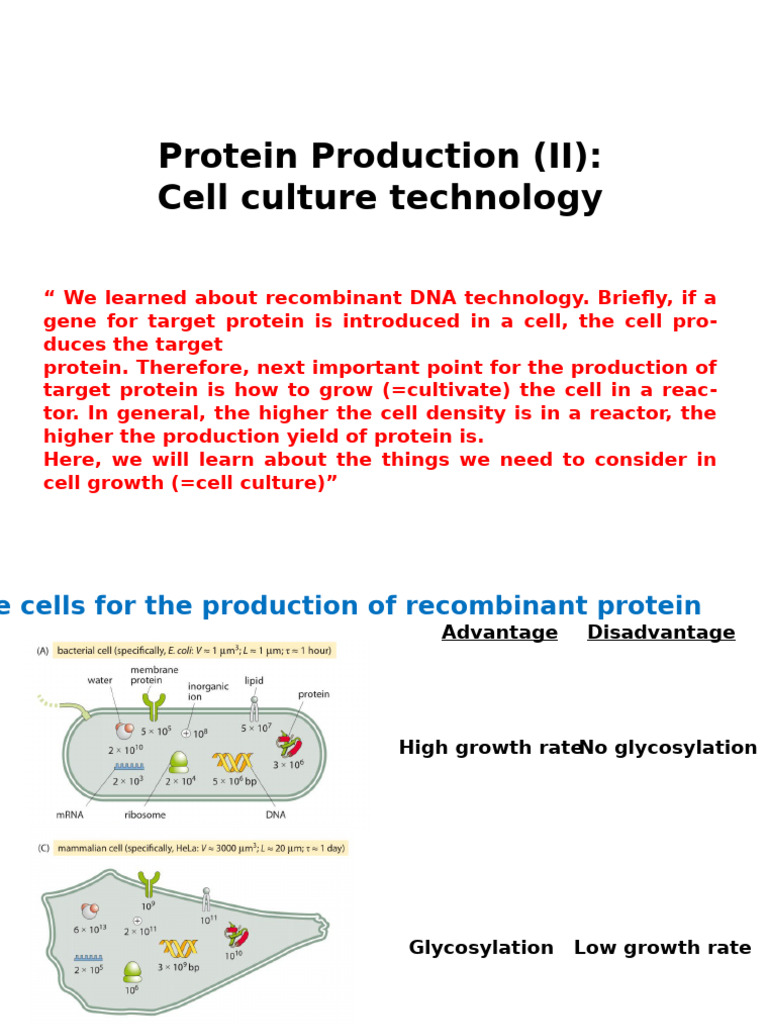 Protein Production (II) - Cell Culture Technlogy | PDF | Proteins ...