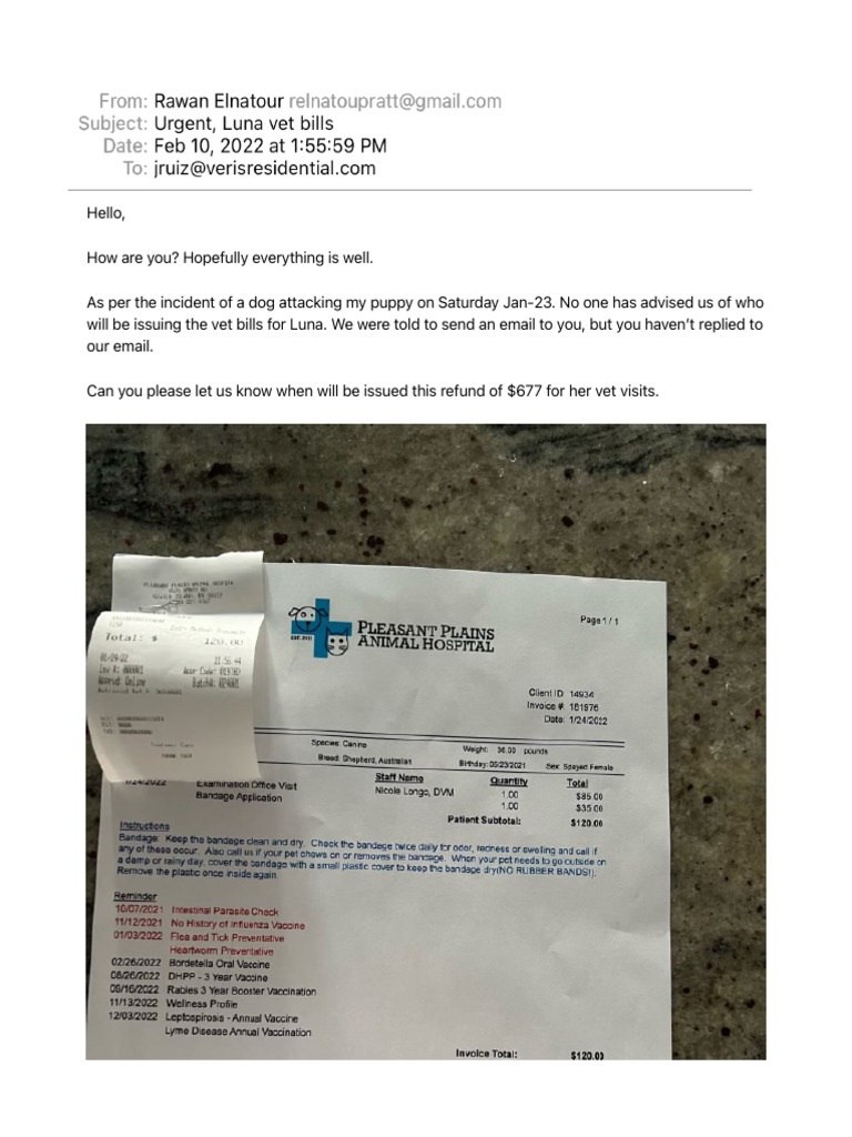 Urgent, Luna Vet Bills | PDF