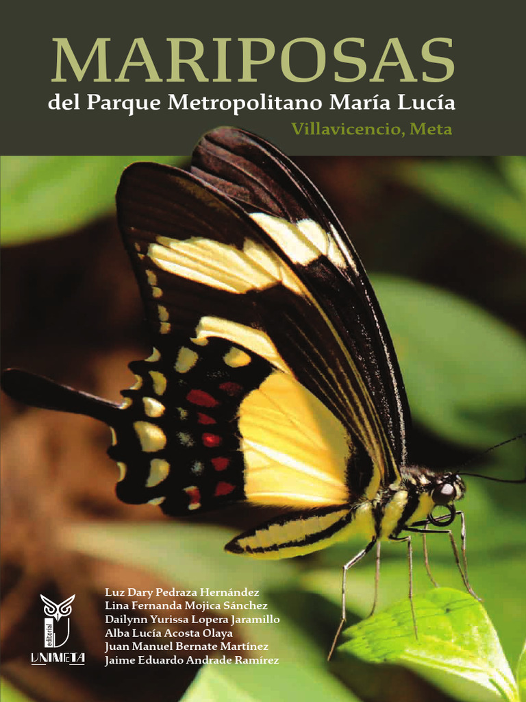 Libro Mariposas Del Parque Metropolitano Maria Lucia | PDF | Crisálida ...