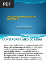 Lofoscopia Forense 1 | PDF | Huella dactilar