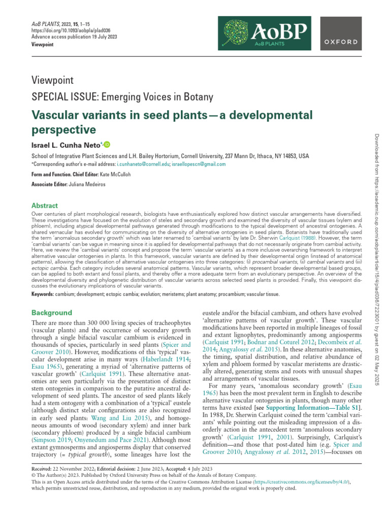 Vascular Variants in Seed Plants-A Developmental | PDF | Plant Stem ...
