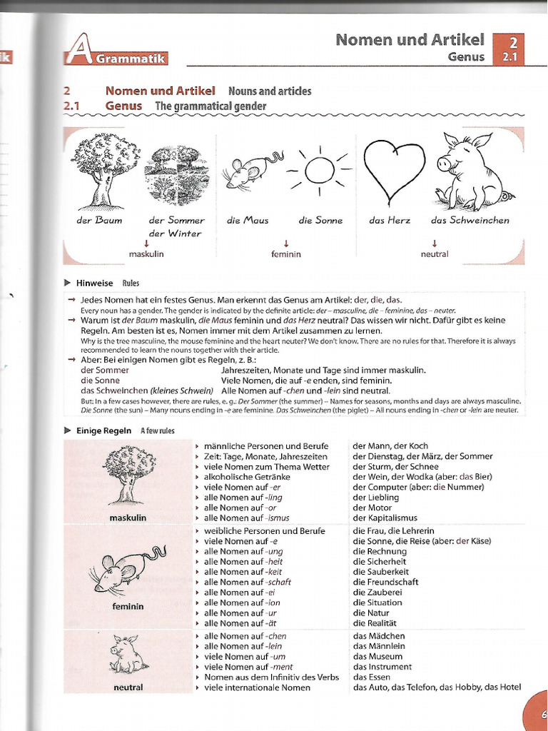 A1 Genus Und Plural | PDF
