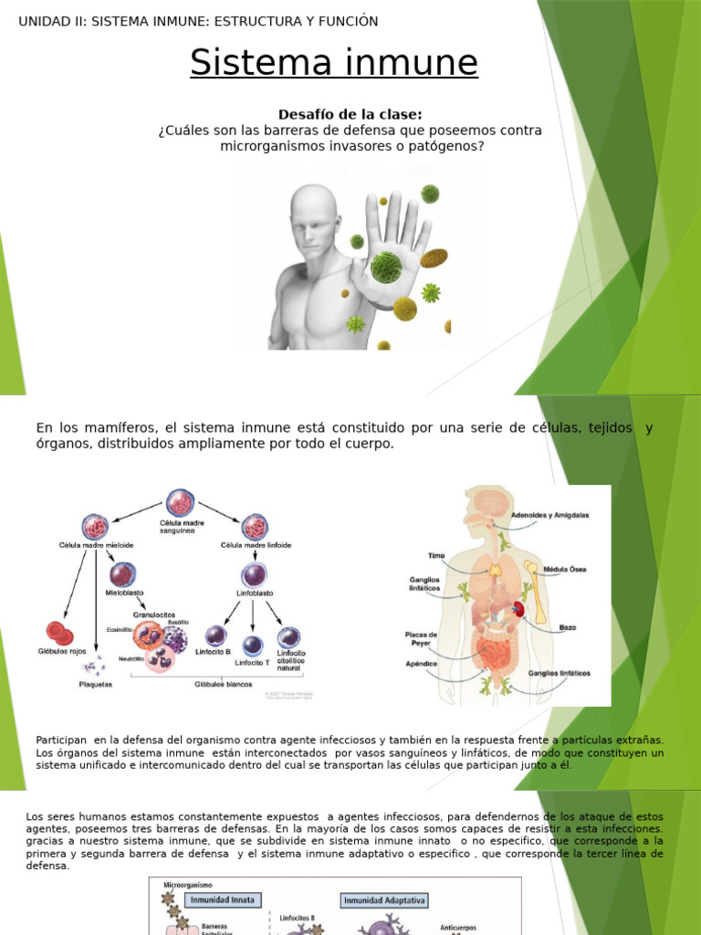PPT-Sistema-Inmune | PDF | Sistema inmune | Inmunidad humoral