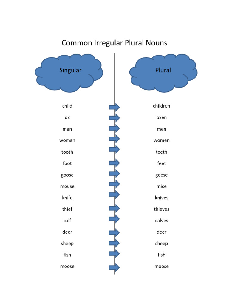 Common Irregular Plural Nouns List | PDF
