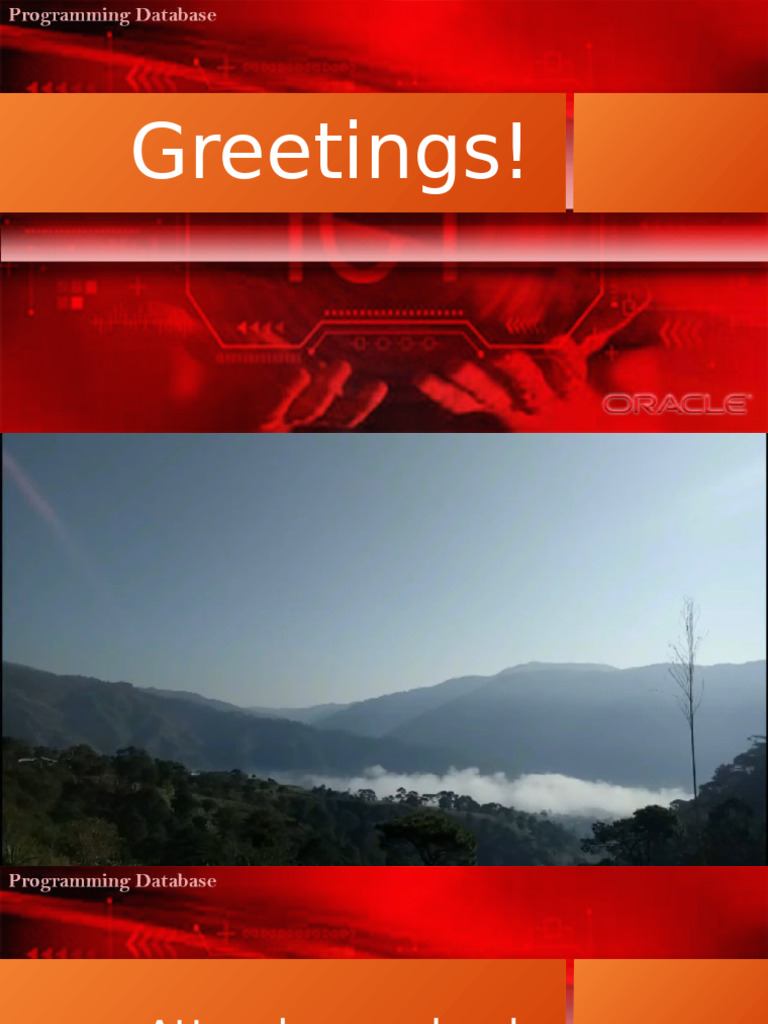 Lesson 2 Programming | PDF | Computer Science | Data Management Software