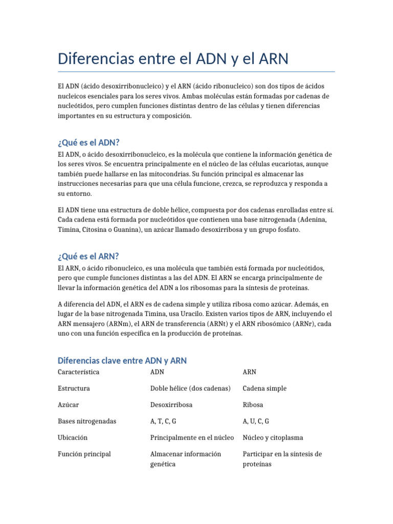 Diferencias Entre ADN y ARN | PDF | Rna | Adn