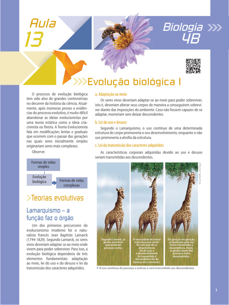 Biologia B | PDF | Seleção natural | Evolução