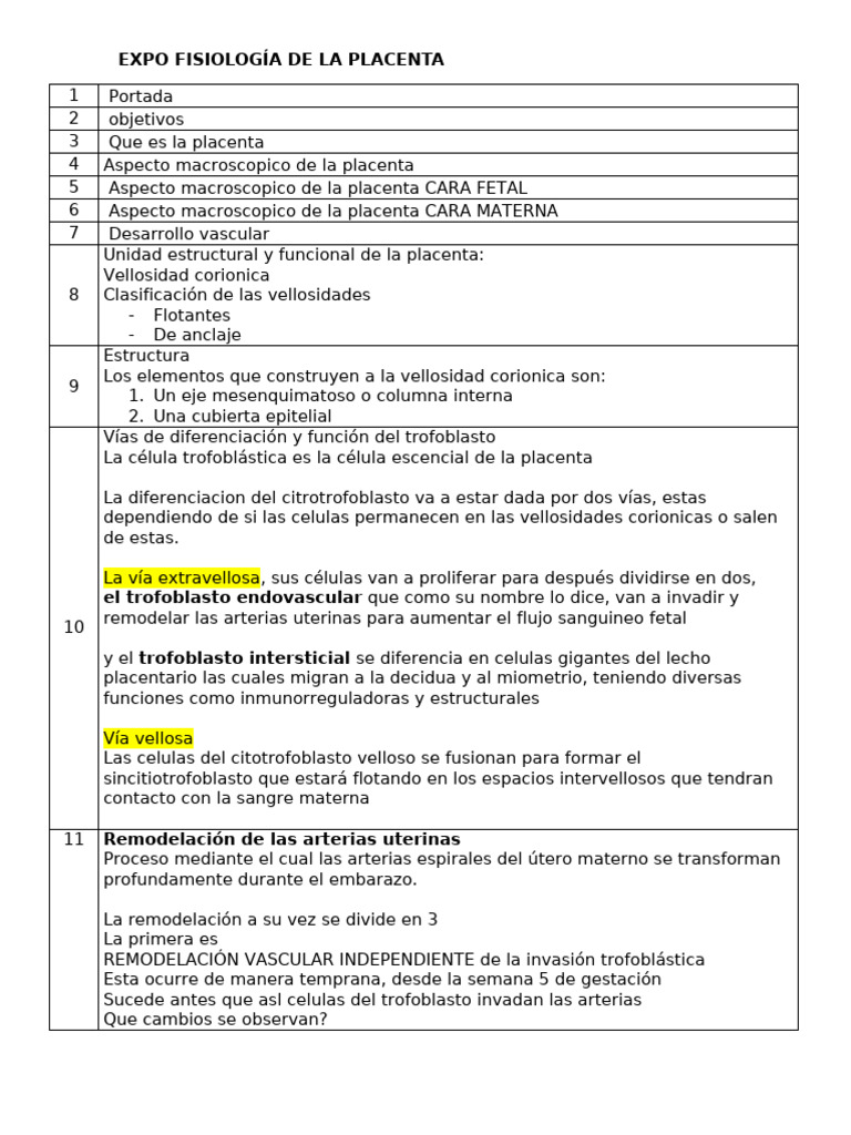 Speech Expo Placenta | PDF | Placenta | Feto