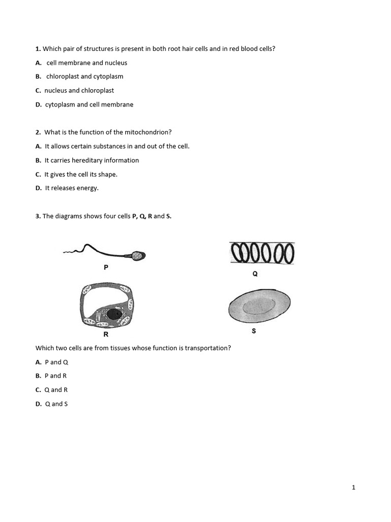 Cell Processes and Maintenance Multiple Choice | PDF | Cell (Biology) | Osmosis