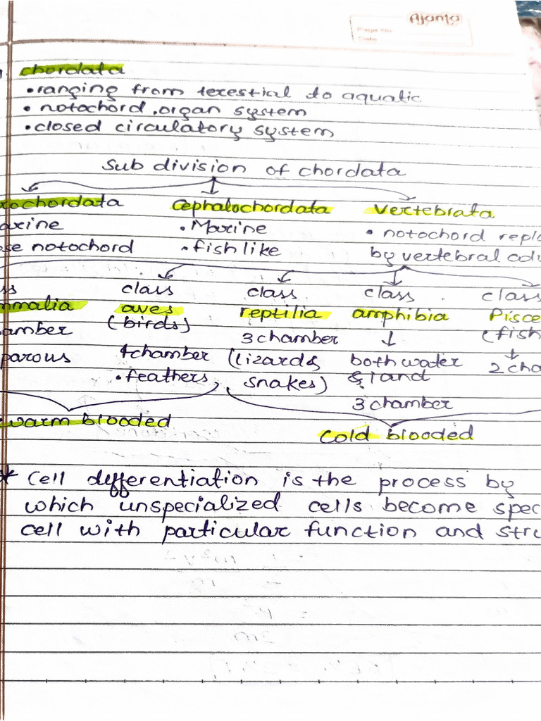 Scanned 20250522 073630 | PDF