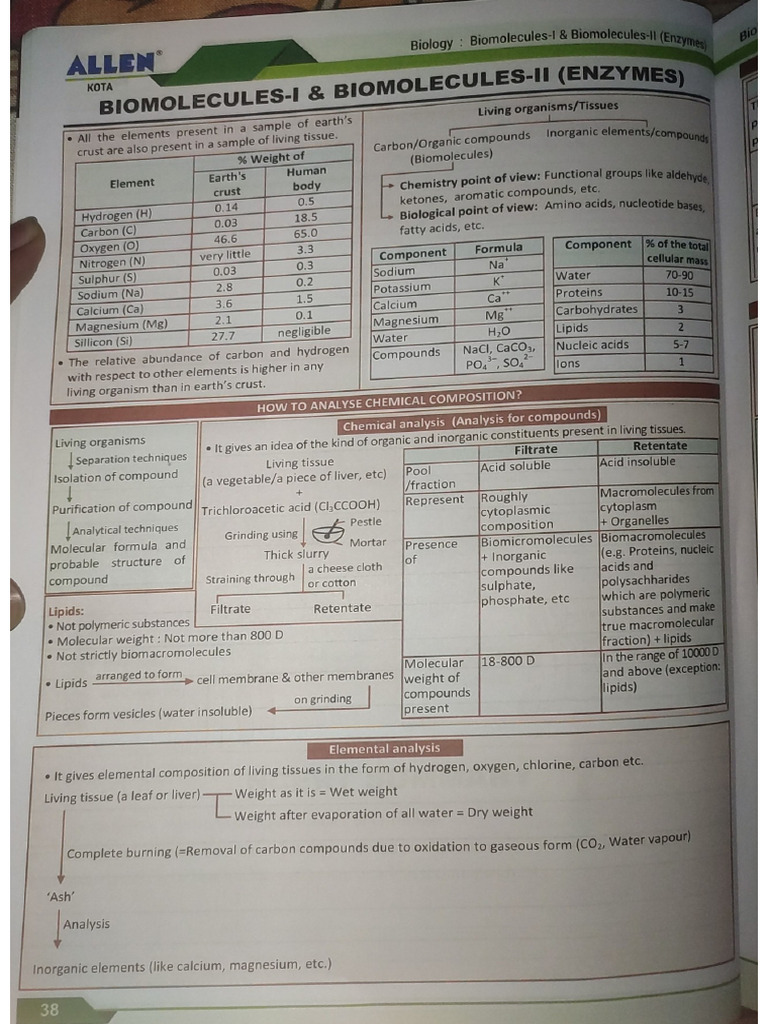 Biomolecules | PDF