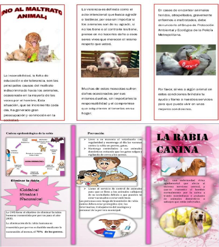 Folletos | PDF