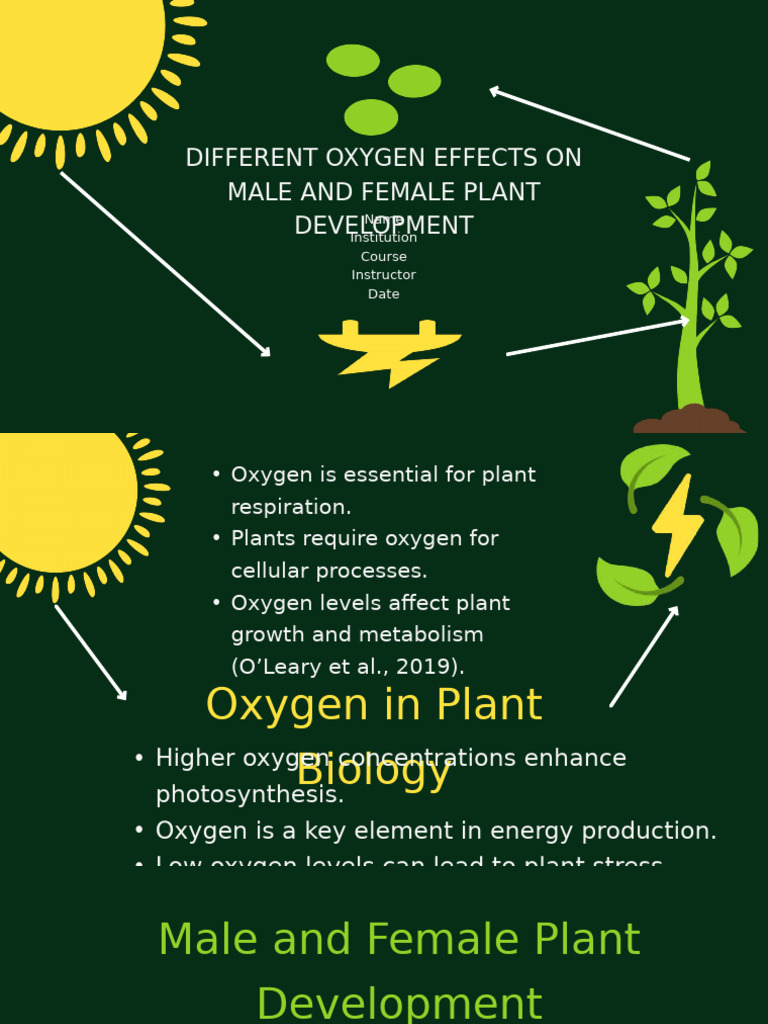 Biology Photosynthesis Presentation | PDF | Plants | Flowers