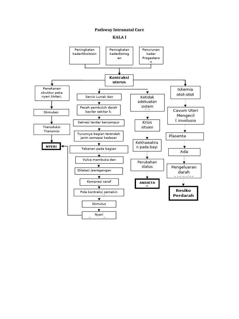 Pathway Intranatal Care | PDF