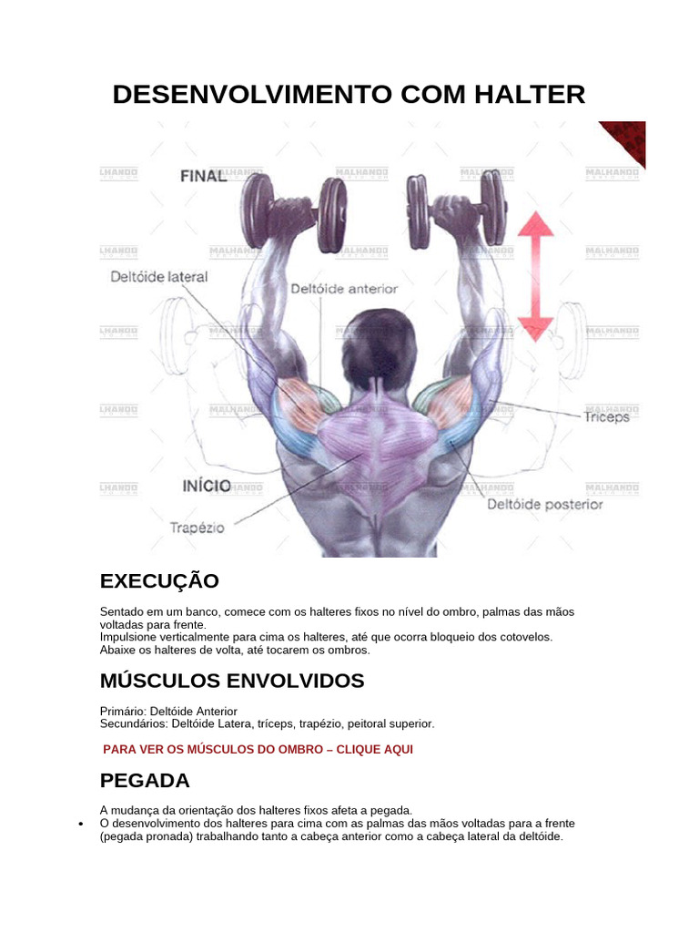 5 Desenvolvimento Com Halter | PDF