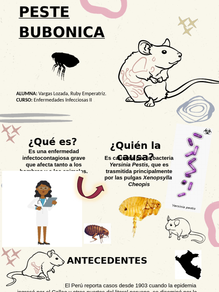Peste Bubónica: Causas y Transmisión | PDF | Peste (enfermedad ...