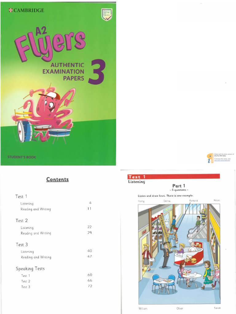 Flyers Authentic 3 Ggo70g | PDF