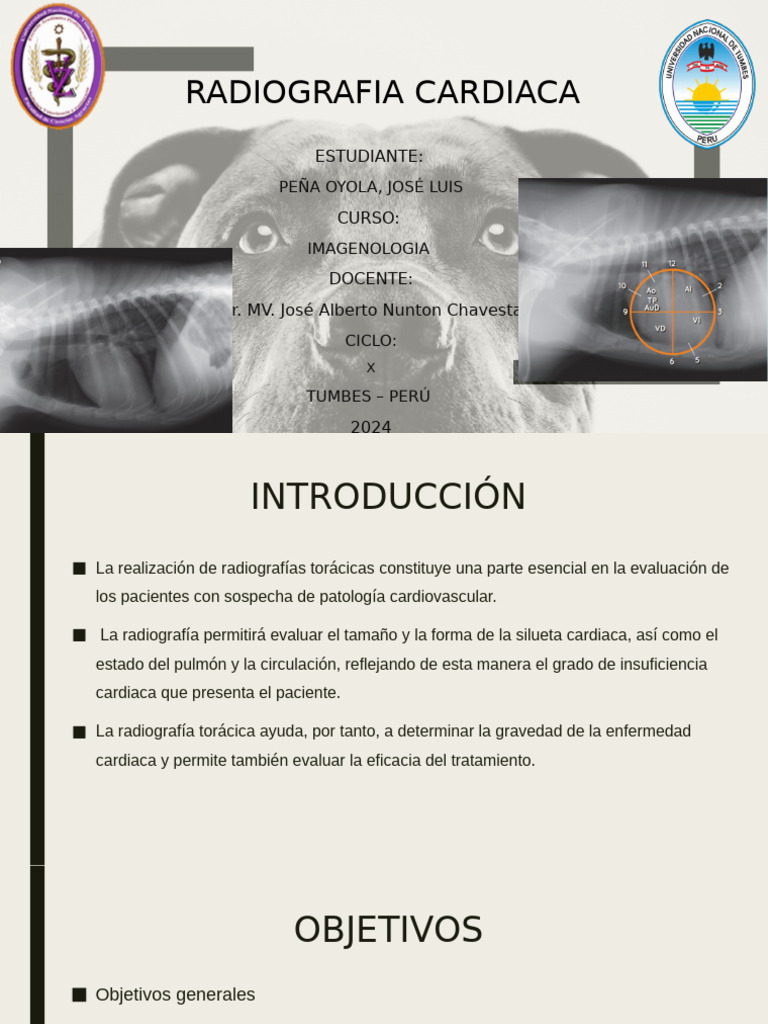 RADIOLOGÍA CARDIACA Imagenologia | PDF | Corazón | Tórax