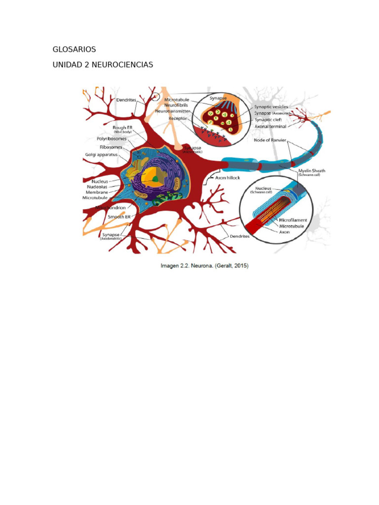 Glosarios 1 y 2 | PDF