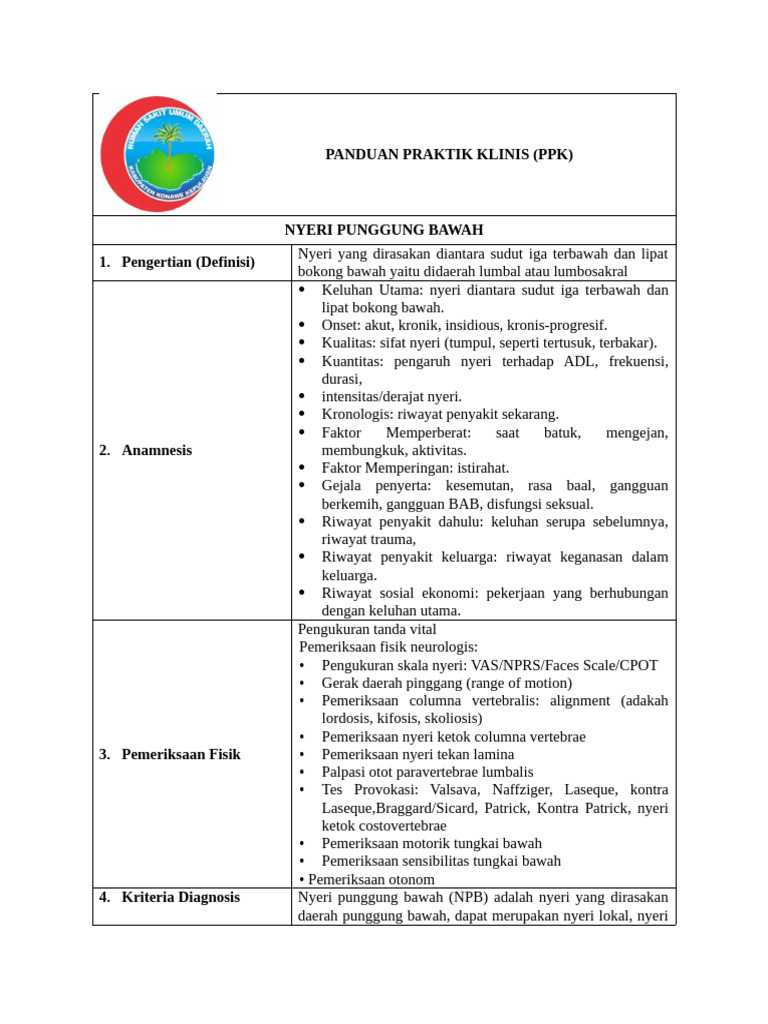 PPK Low Back Pain | PDF
