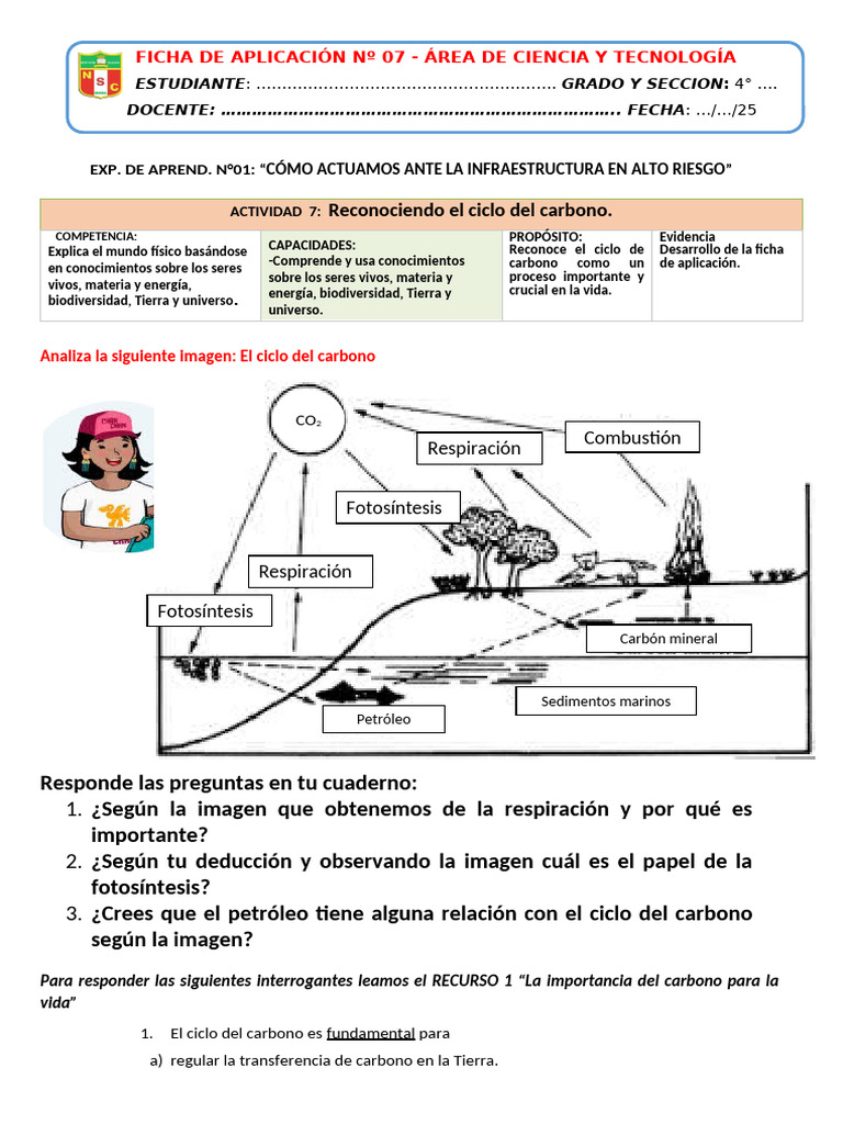 Reconocimiento del Ciclo del Carbono | PDF | Dióxido de carbono ...