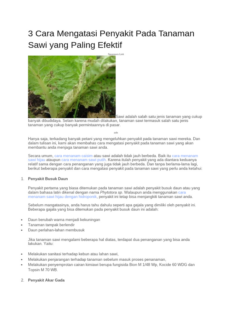 Mengatasi Penyakit Tanaman Sawi | PDF