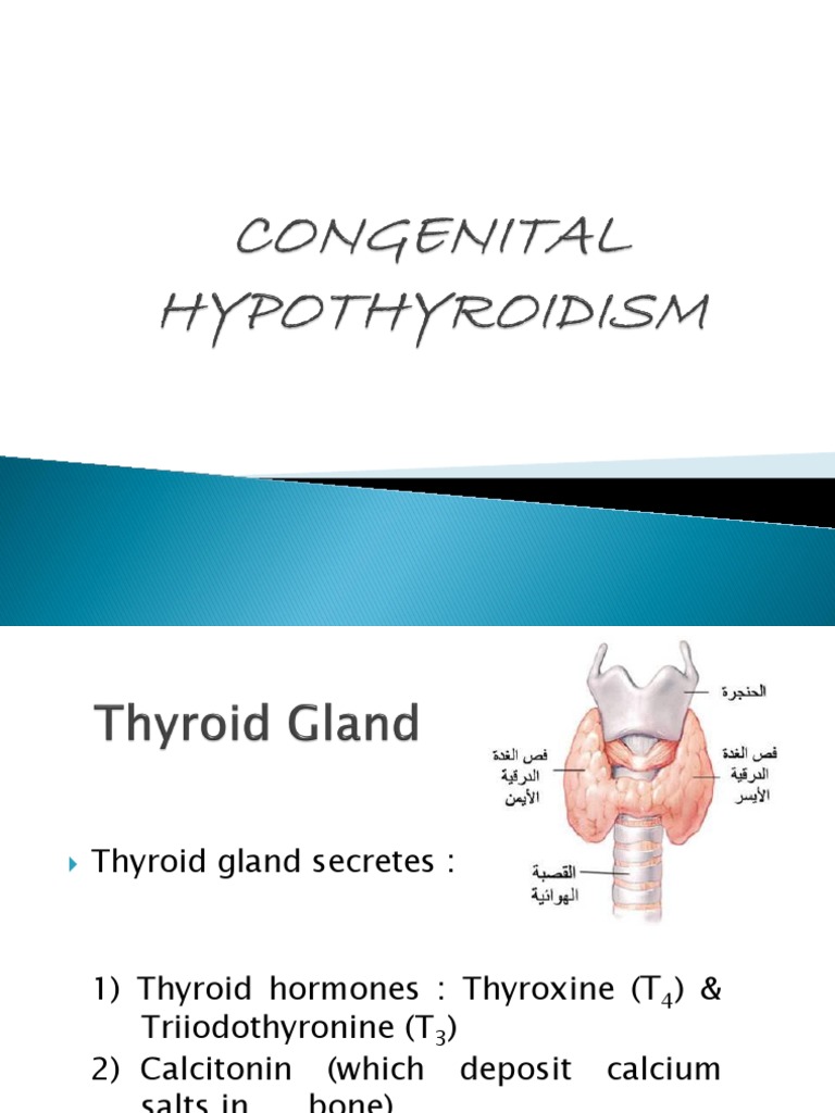 Congenital Hypothyroidism | Thyroid | Thyroid Stimulating Hormone