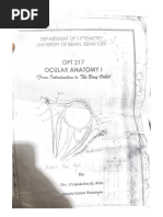 Optic Foramen Radiographic Overview | PDF