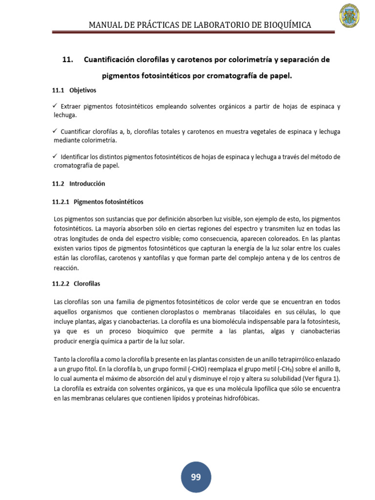 Cuantificación de Clorofilas y Carotenos. | PDF | Carotenoide | Clorofila