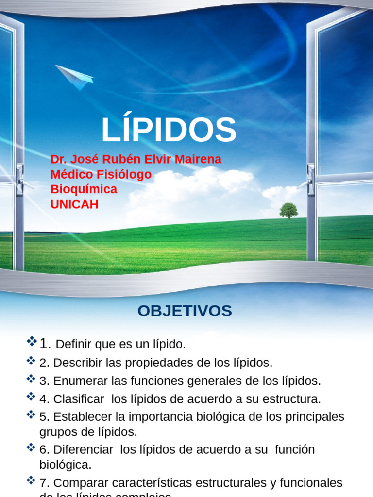 LÃ PIDOS I Per 2025 | PDF | Lípido | Ácido graso