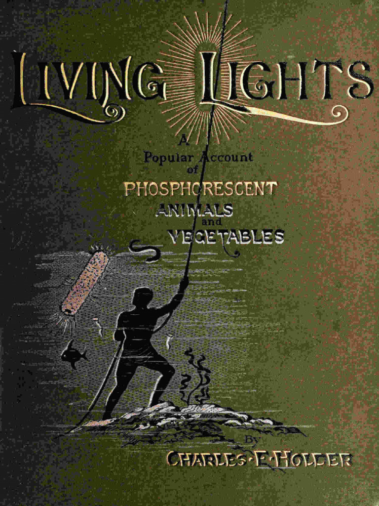 Living Light | PDF | Light | Sea