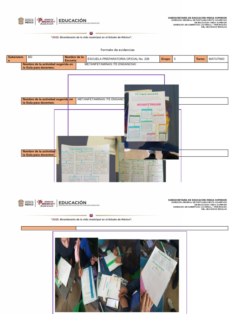 Formato METNFETMINS BRIL | PDF
