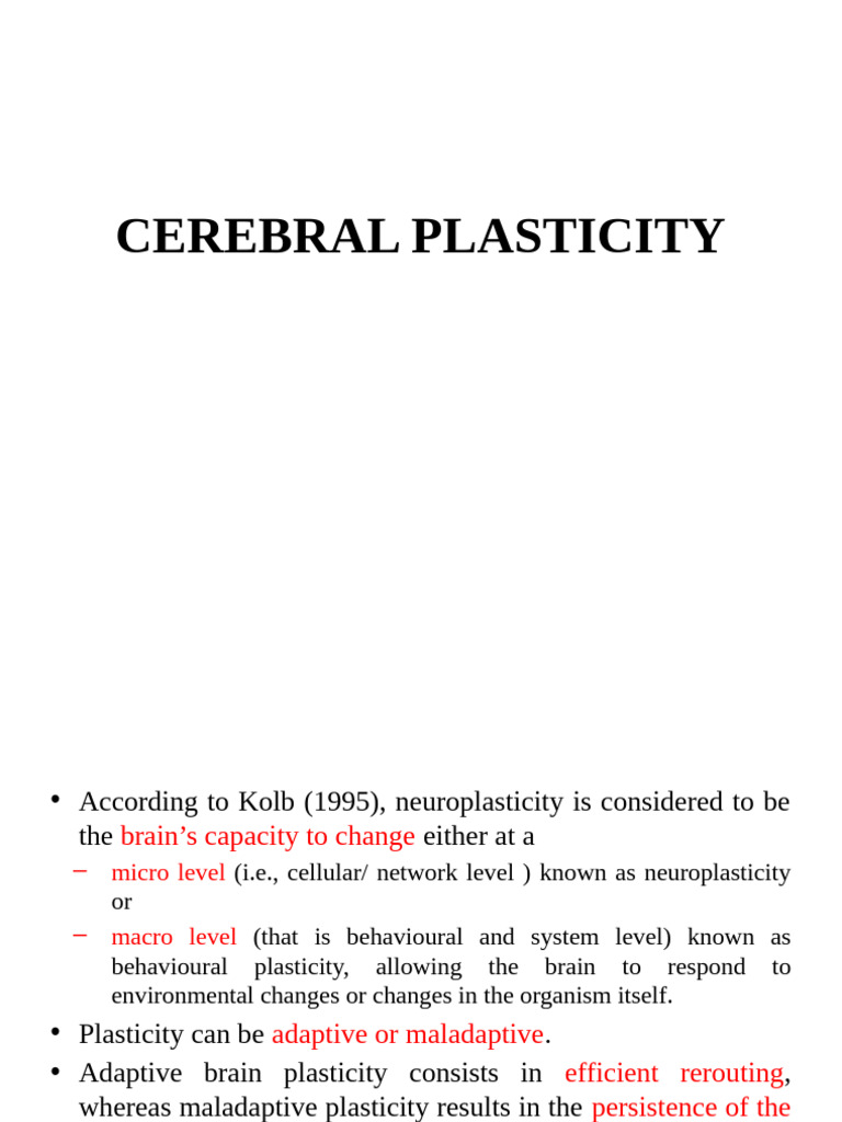 Cerebral Plasticity | PDF | Neuroplasticity | Cerebral Cortex