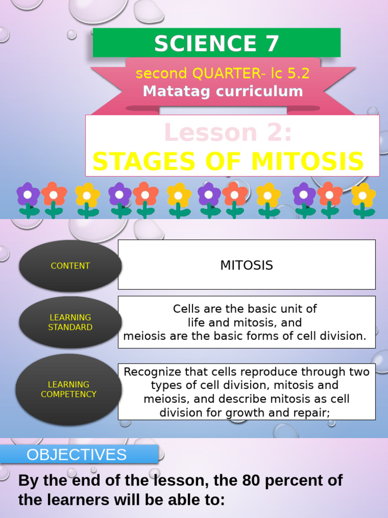 Q2-Science 7-Lc5 Lesson 2 - Mitosis | PDF | Mitosis | Systems Biology