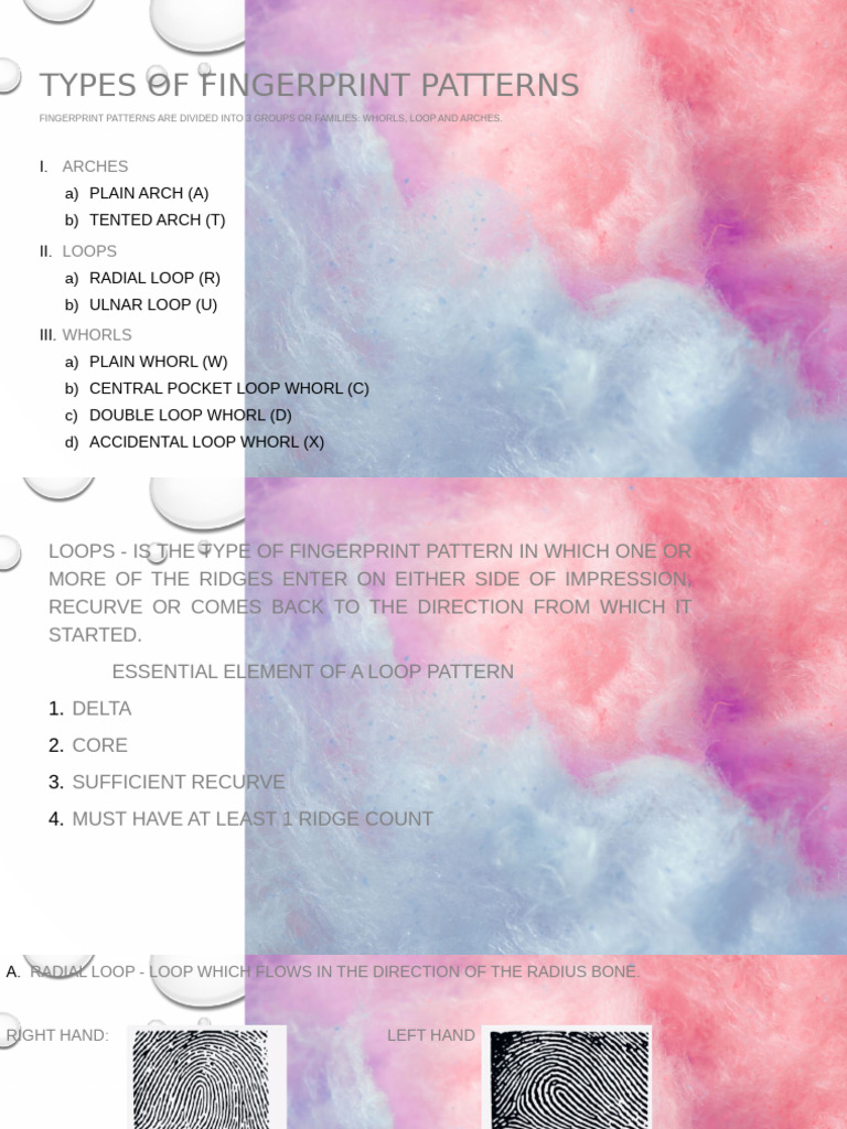 Personal Identification | PDF | Fingerprint