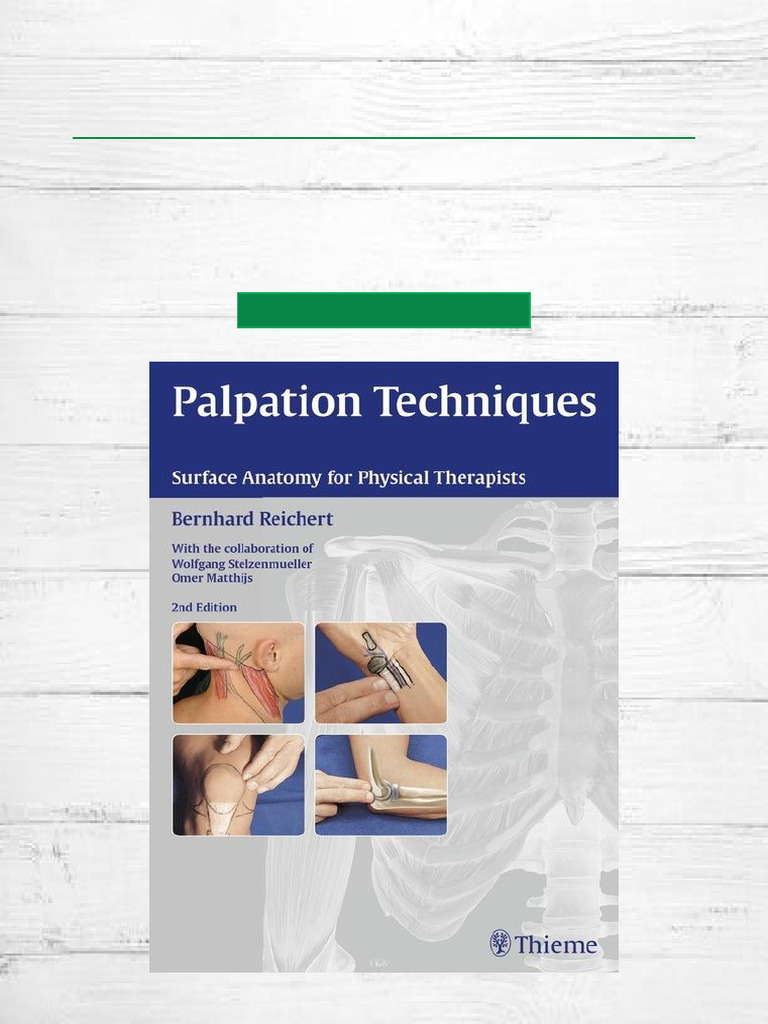 Palpation Techniques for Physical Therapists | PDF | Anatomical Terms ...