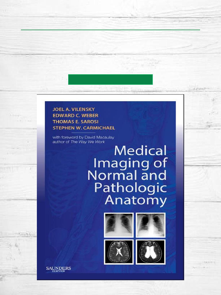 Medical Imaging Anatomy Guide | PDF | Knee | Vertebra