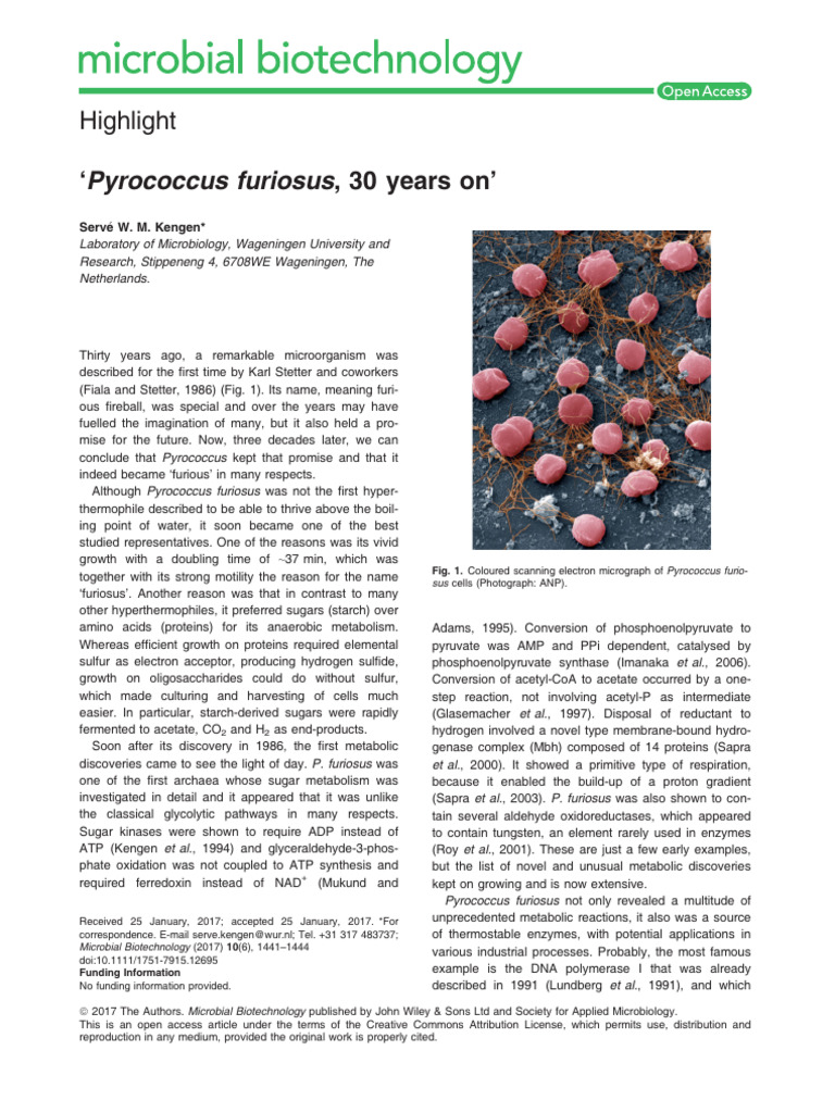 Microbial Biotechnology - 2017 - Kengen - Pyrococcus Furiosus 30 Years On | PDF | Biochemistry ...