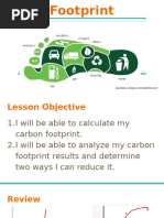 Biomanbio Succession Interactive | PDF | Flowers | Earth Sciences