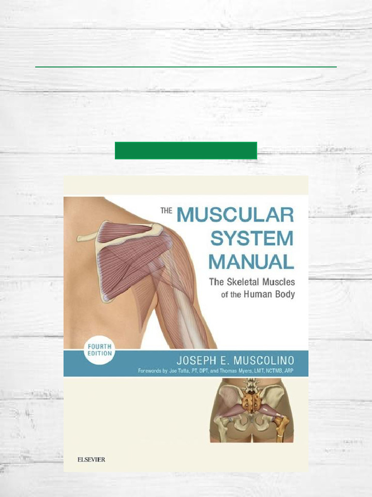 (Hot Now) The Muscular System Manual The Skeletal Muscles of The Human ...