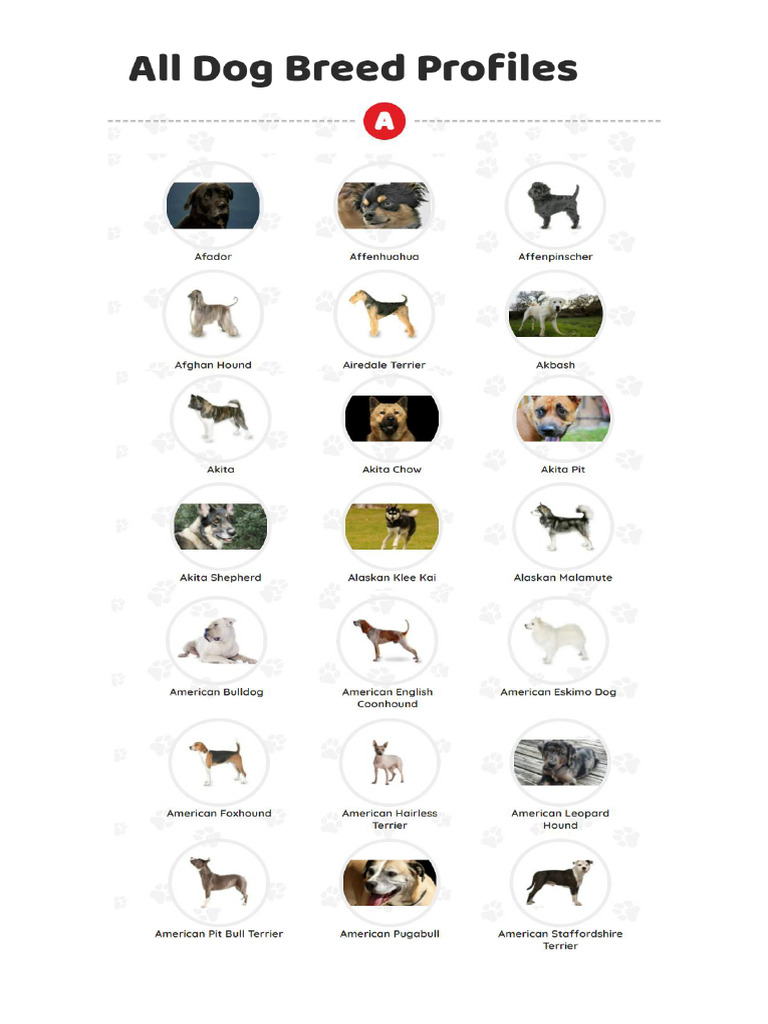 Dog-breeds | PDF
