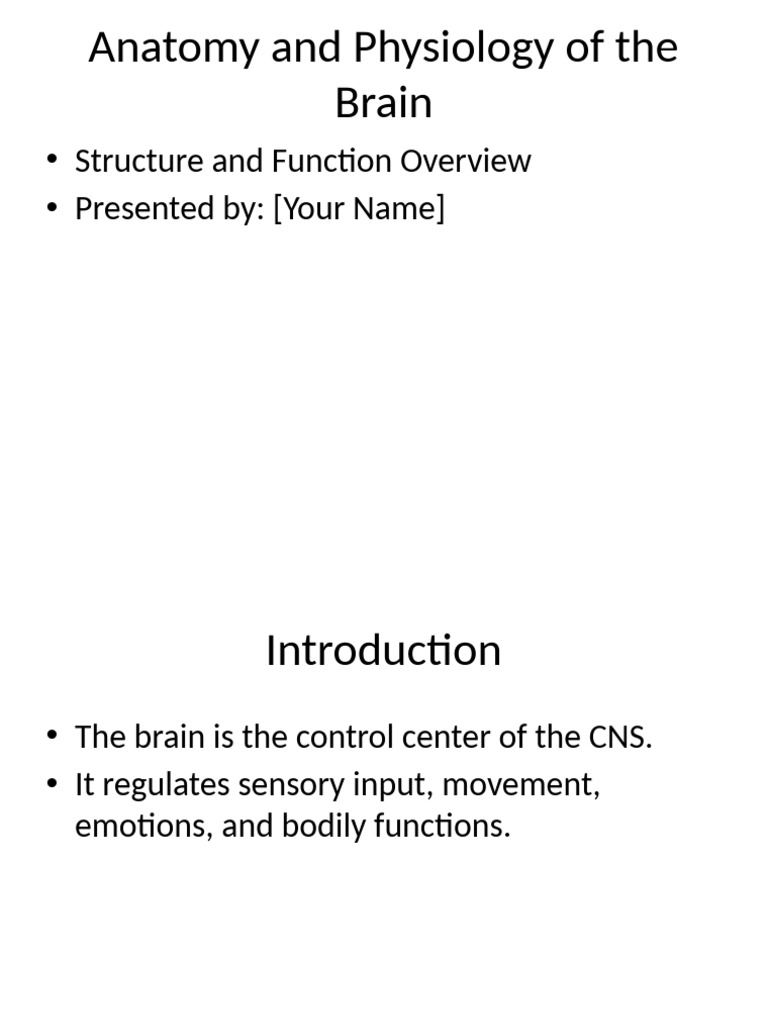 Anatomy and Physiology of the Brain | PDF