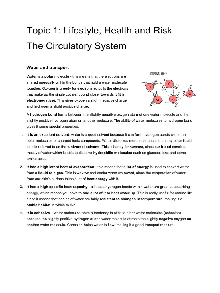 Topic 1 The Circulatory System A Level Biology Notes | PDF | Heart ...