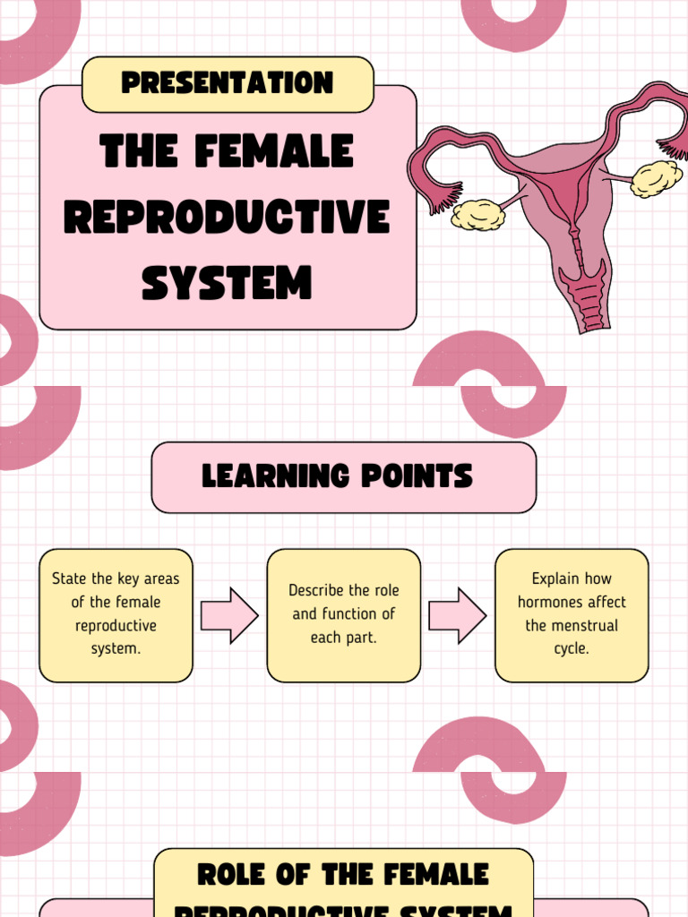 Female Reproductive System Biology Presentation in a Pink Bold Style ...