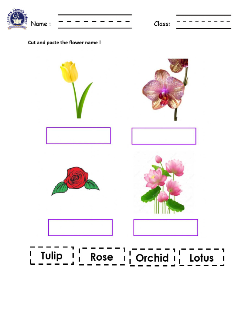 Flower Name Homework Template | PDF