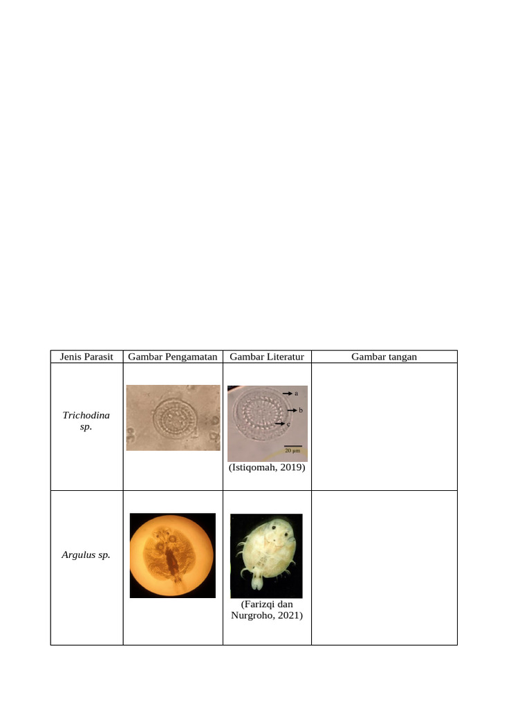 gambar ektoparasit protozoa | PDF