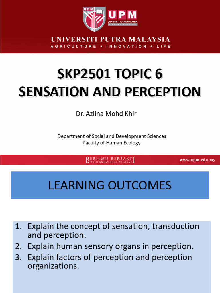 SKP2501 Topic 6 - Sensation and Perception Part 1 | PDF | Senses | Perception