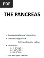 Pancreas Anatomy in Rats and Other Species | PDF | Pancreas | Stomach